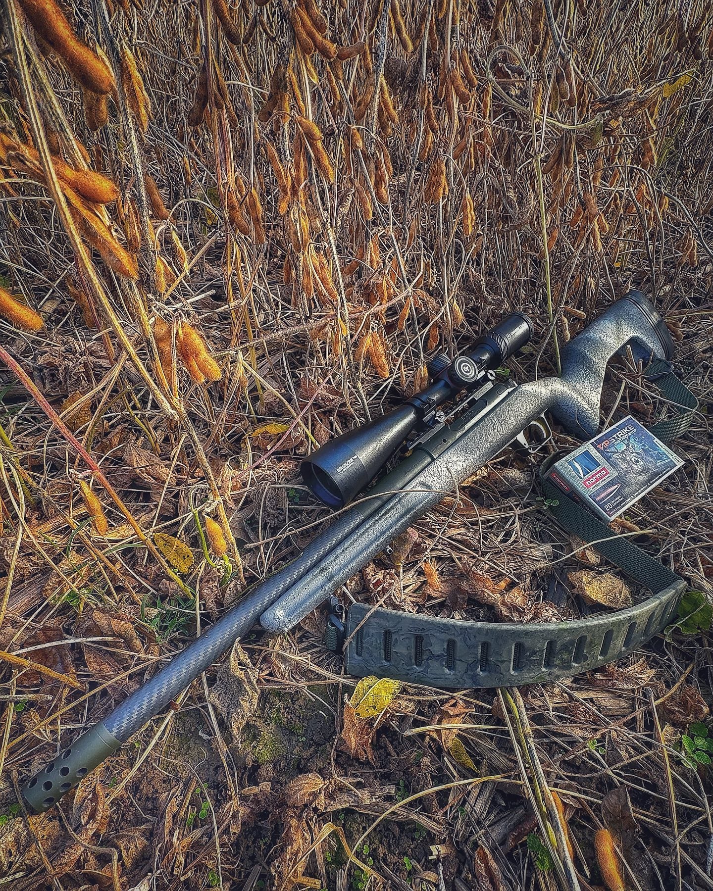 Kelbly Actions: Perfect Match for Grayboe Stocks - Grayboe