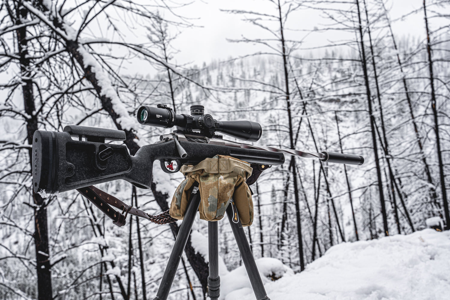Mac Brothers Evo II Bolt Action: Stainless vs Titanium - Grayboe